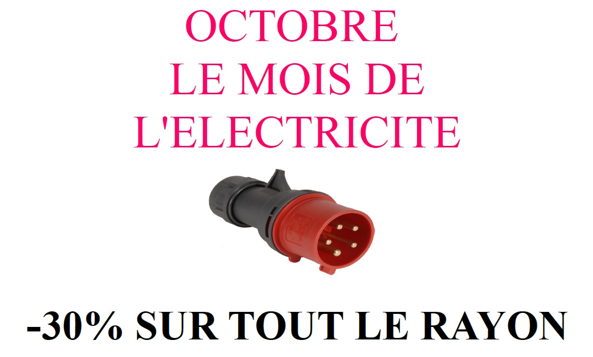 Promotion de l'électricité - Eric Brouet
