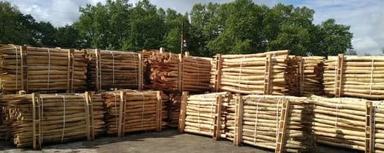 Clôture en piquet d'Acacias, pourquoi? - Eric Brouet